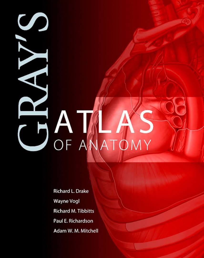 Gray's Atlas de Anatomia (Drake) - 1. ed. PDF | MeuLivro